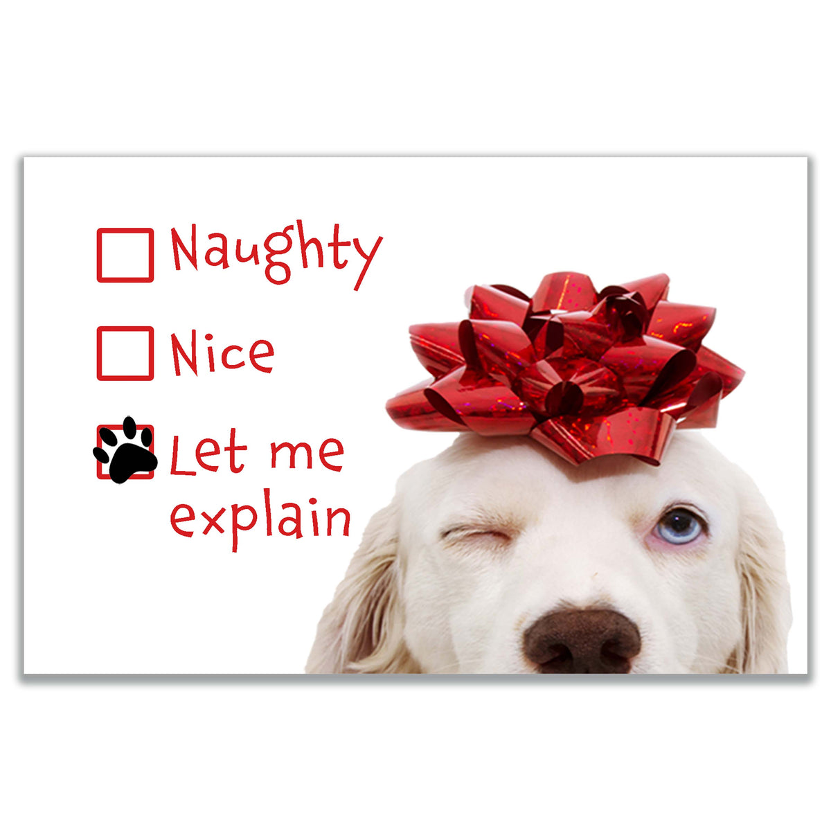 Funny Naughty Dog Christmas Cards | Define Naughty & Let Me Explain Set ...